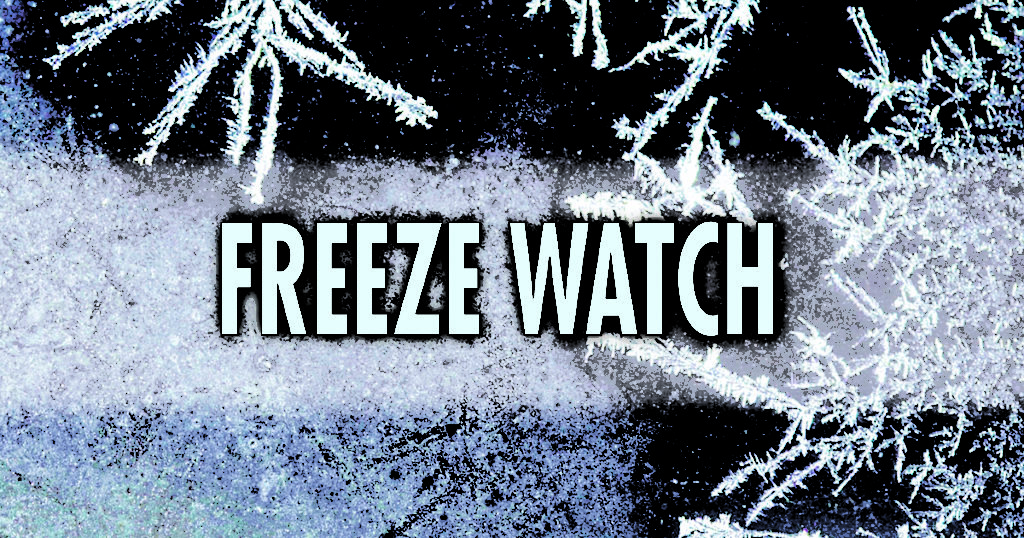 Freeze watch issued for this weekend | Murphy Monitor