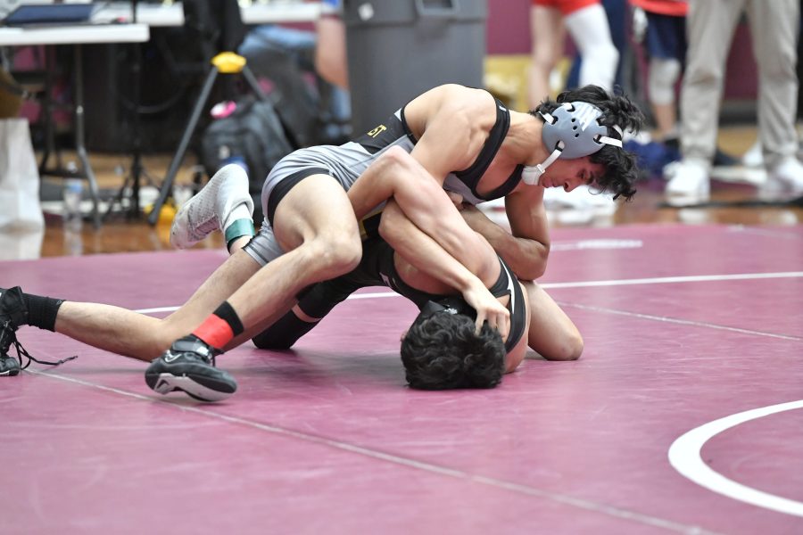 Three Panthers Qualify For State Murphy Monitor